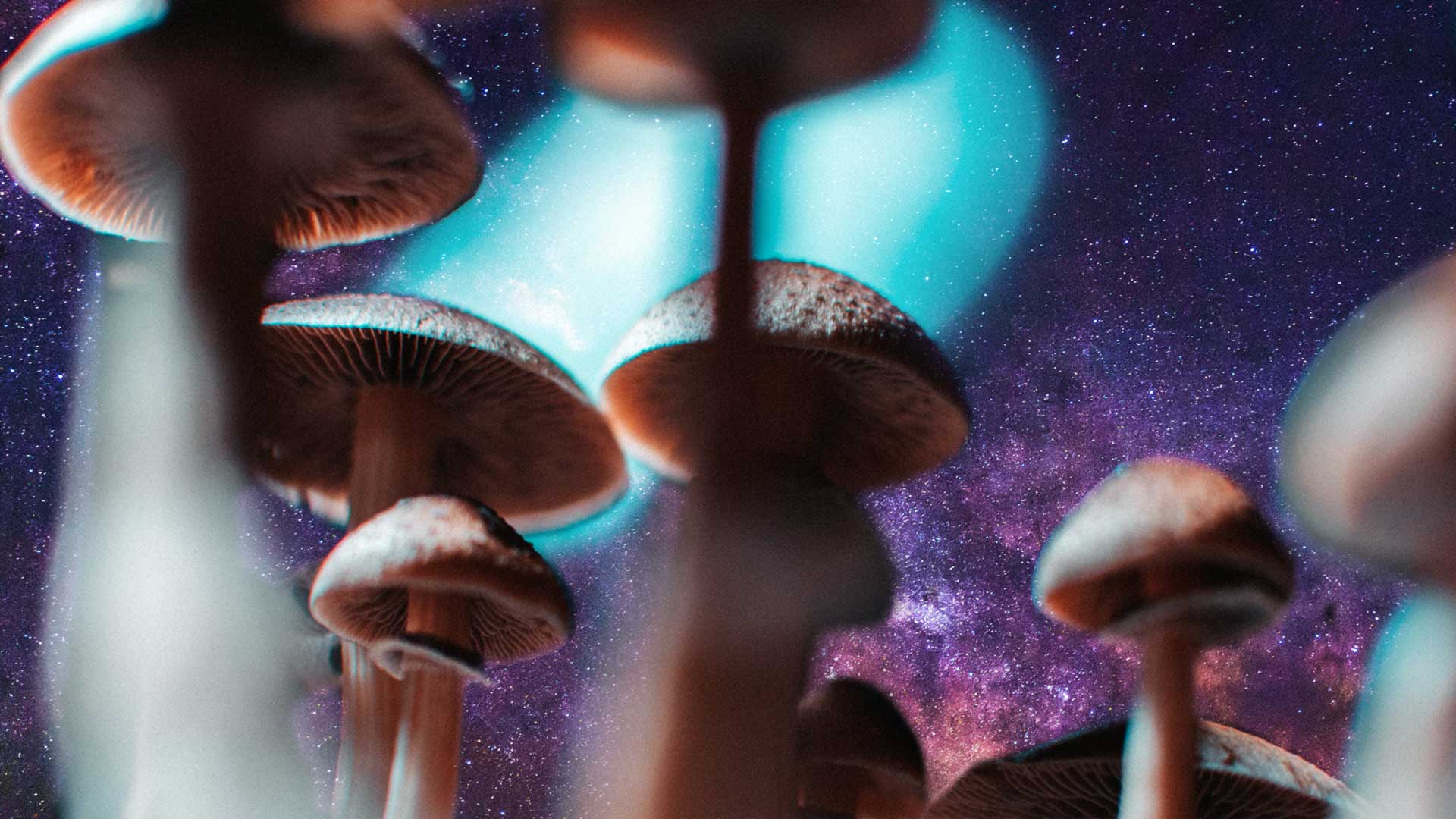 Entheogens and Spirituality: The Ancient Connection | The Urban Monk