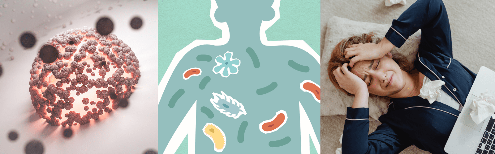 How LPS Triggers Chronic Inflammation, Fatigue, and Gut Issues
